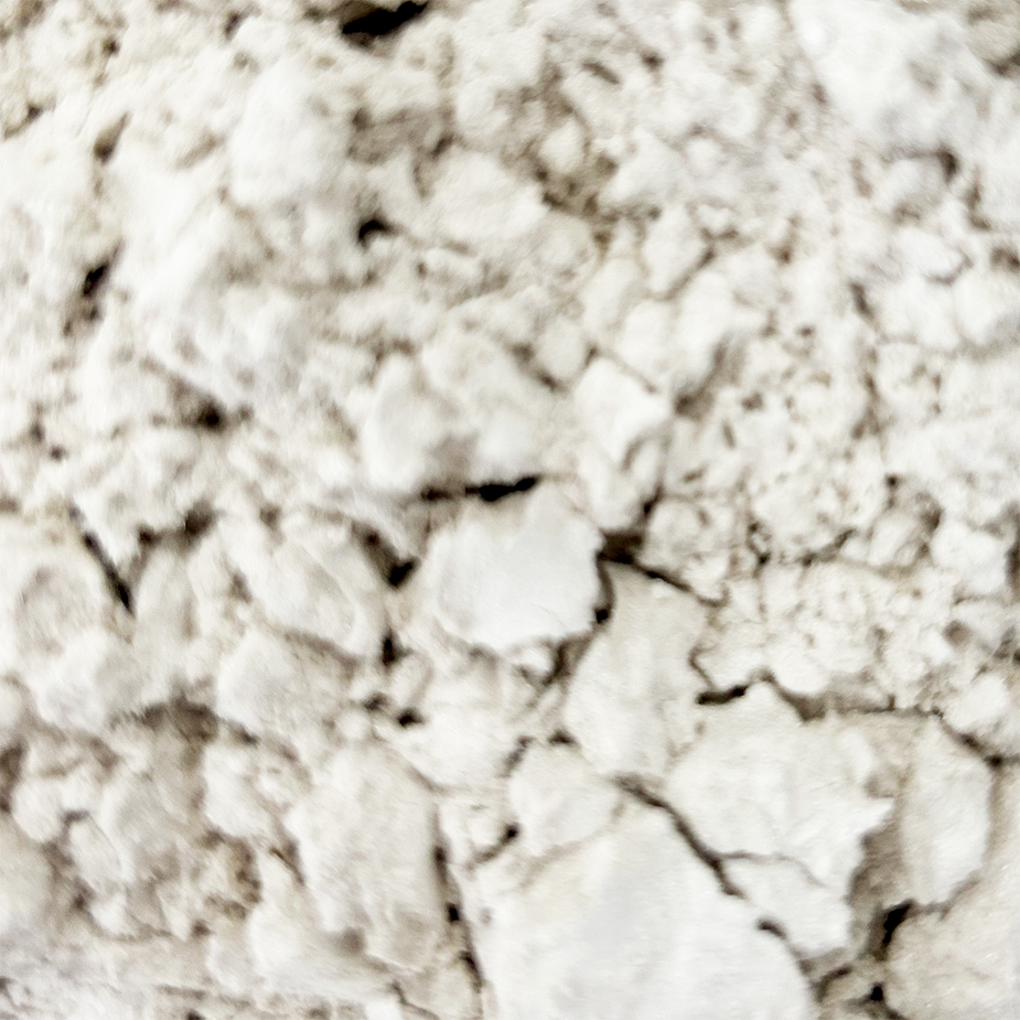 Super White Luster Dust | Cake Craft Shoppe, LLC